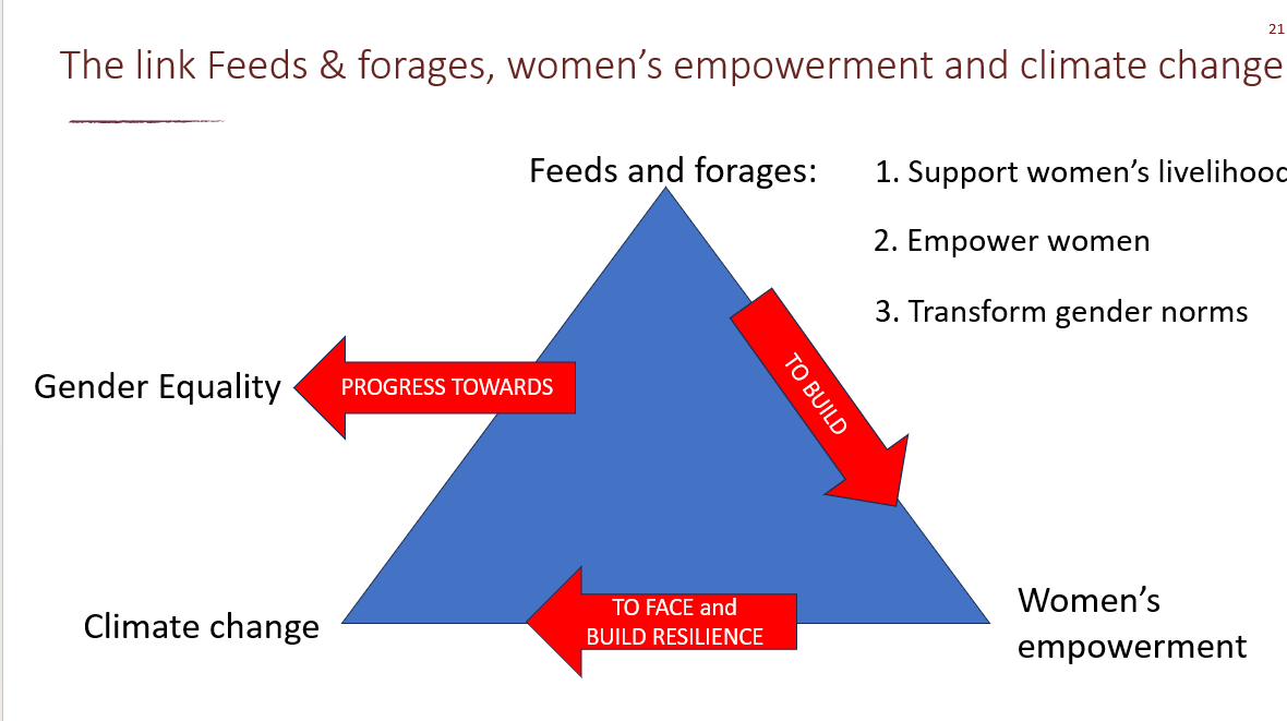 Gender Transformative Approaches For Sustainable Livestock Development